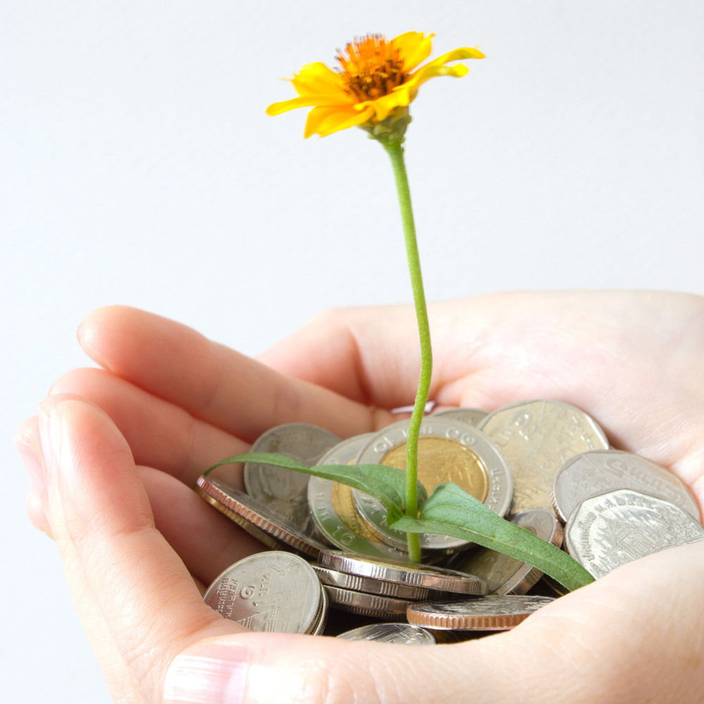 BCA Life - Produk Proteksi Individu - Asuransi Jiwa